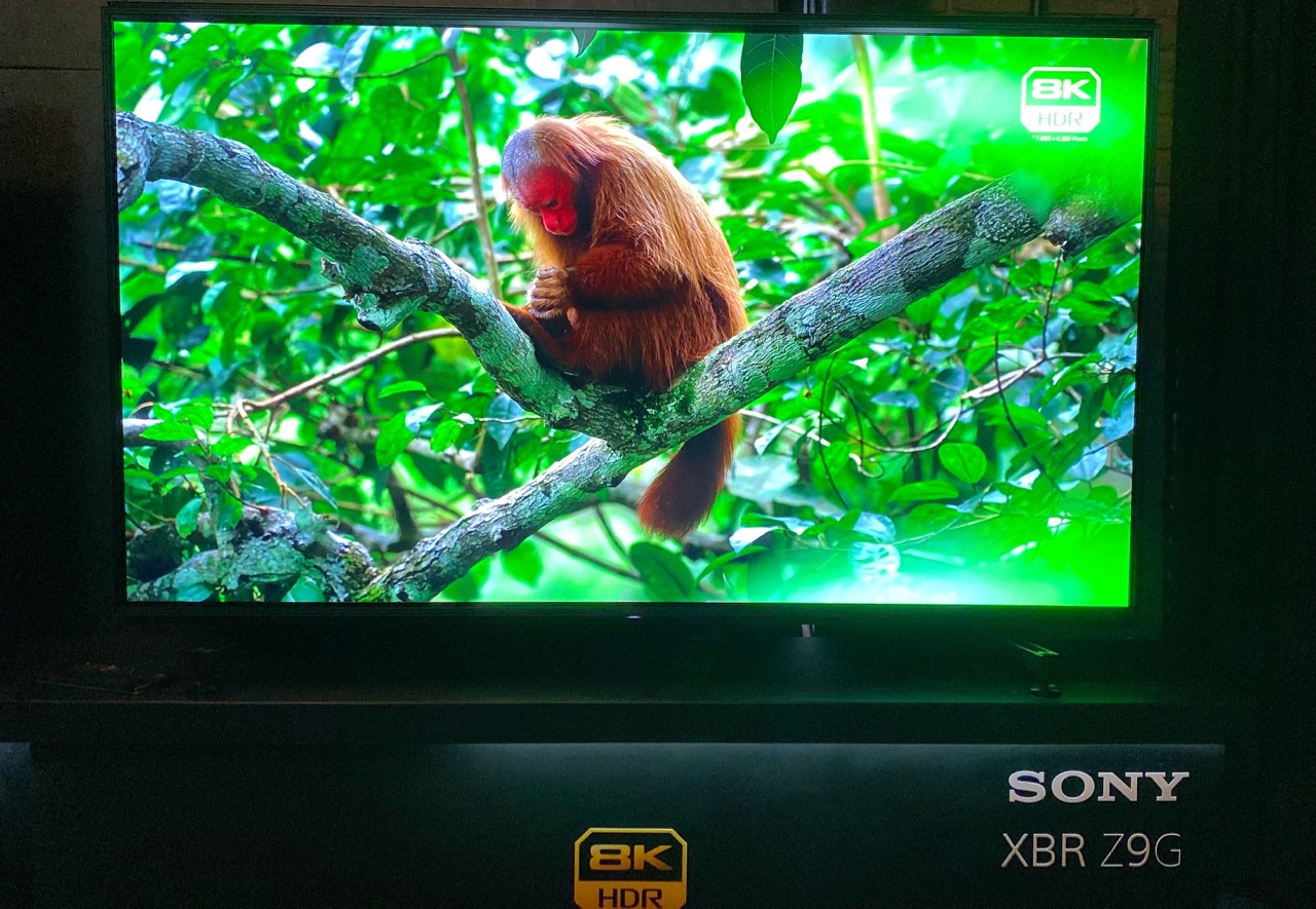 Números enormes: TVs Sony Master Series - INTERFACES